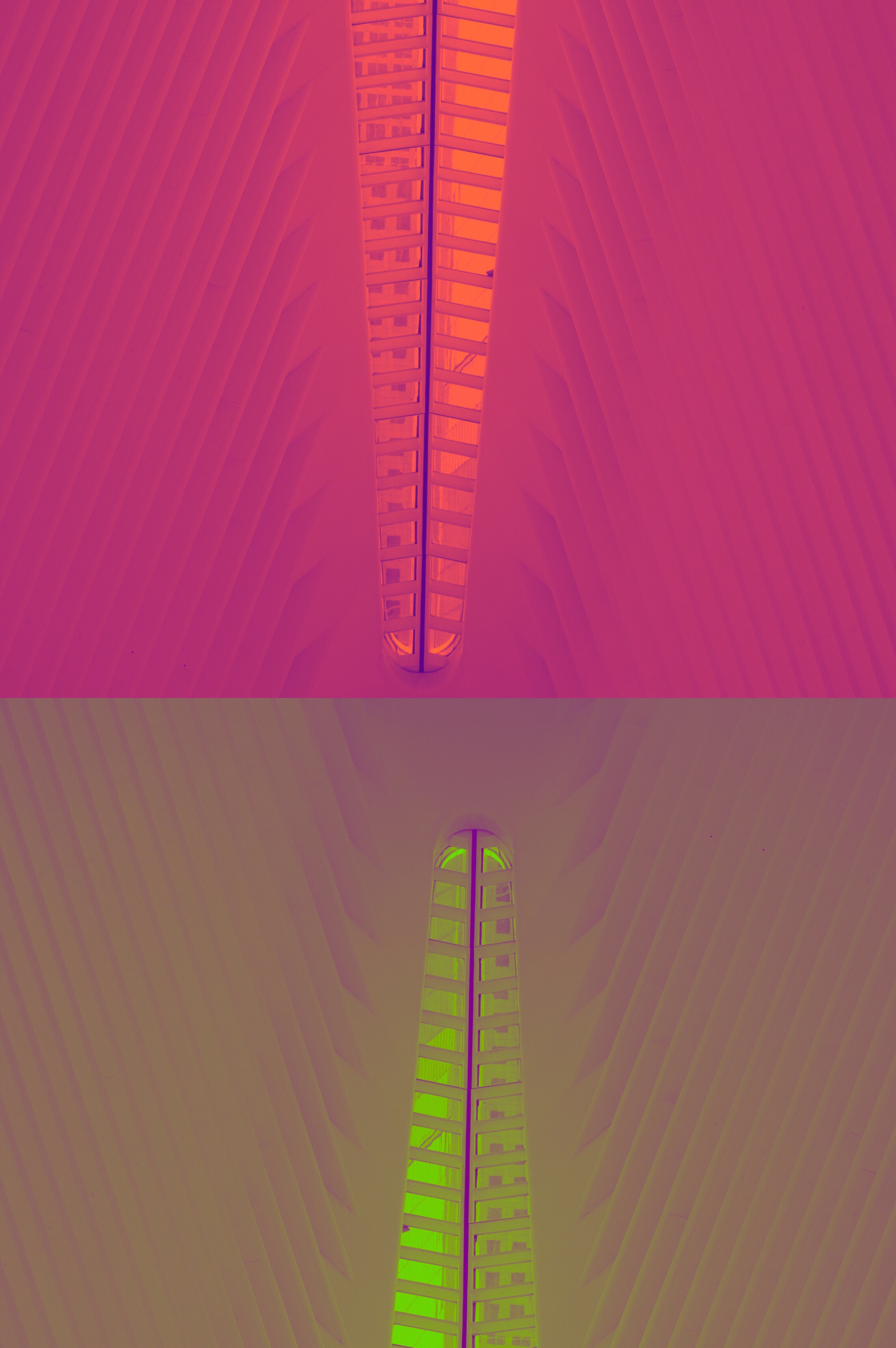 Time Machine – The Kevin Quinn Art Gallery